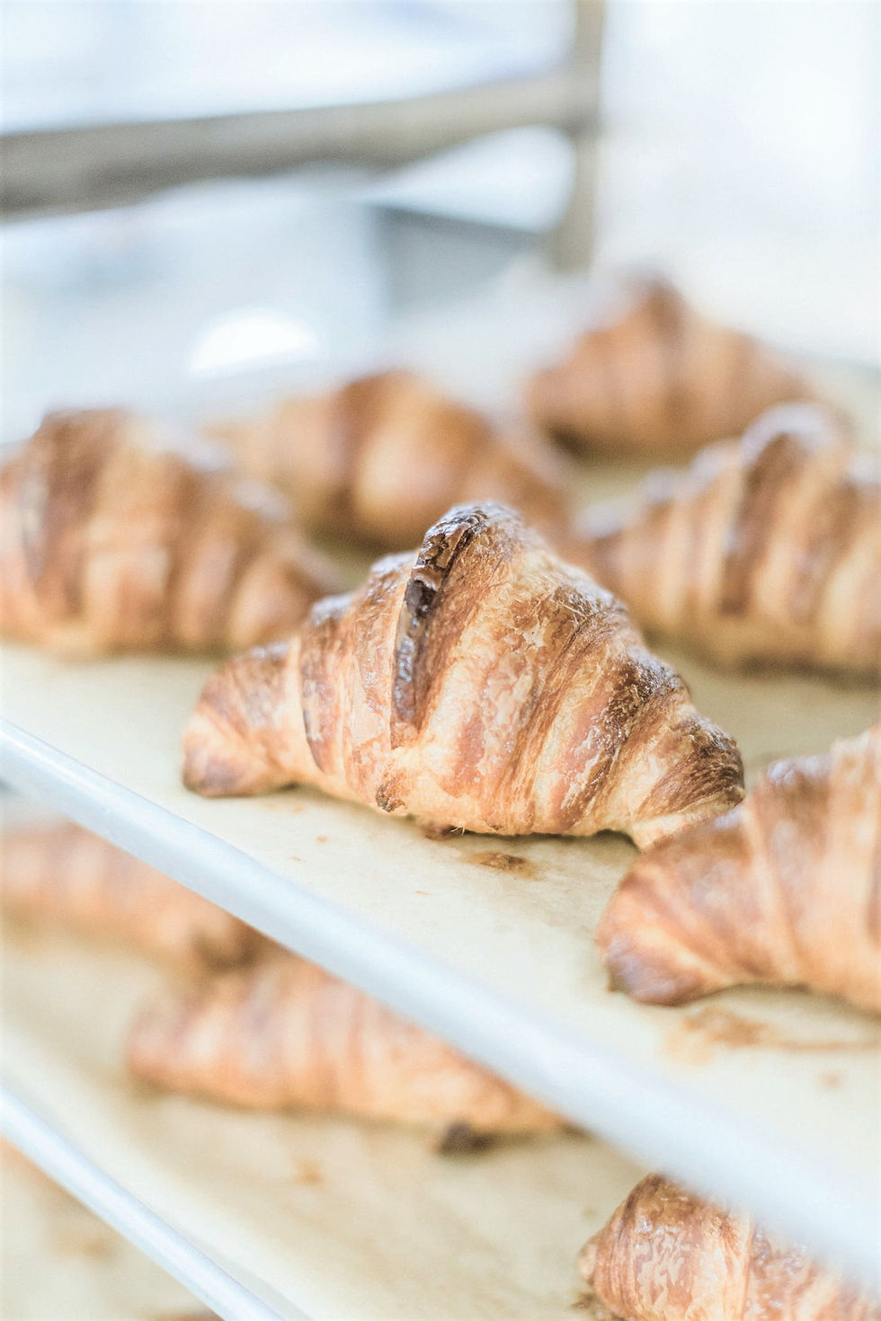 Daily Pastries Famous Baking Co daily-pastries-famous-baking-co