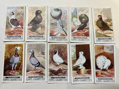 Copes Pigeons Cigarette Cards | JSCards