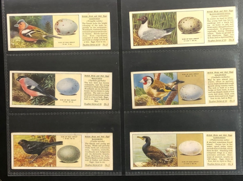 Typhoo Tea British Birds & Their Eggs Tea Cards | JSCards