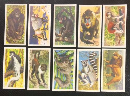 Brooke Bond Tea South Africa African Wildlife Bilingual Tea Cards | JSCards