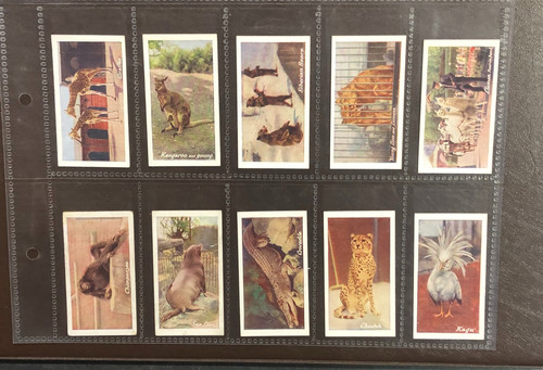Typhoo Tea Zoo Series Tea Cards | JSCards