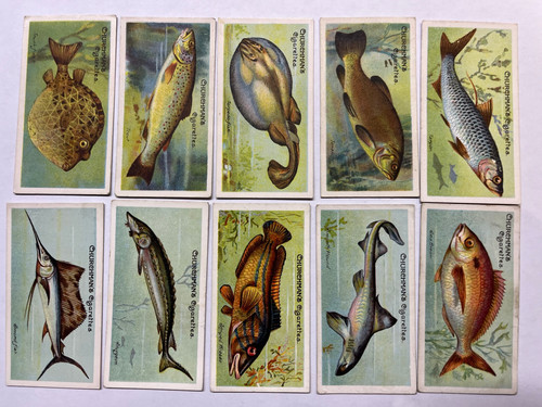 Churchman Fishes Of The World Cigarette Cards | JSCards
