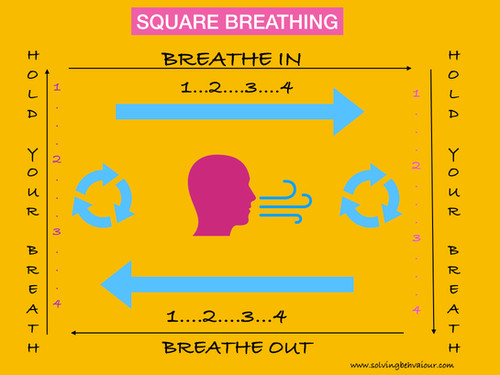 Square Breathing Visual | Solving Behaviour