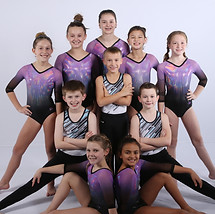TEAMS | Troy Gym