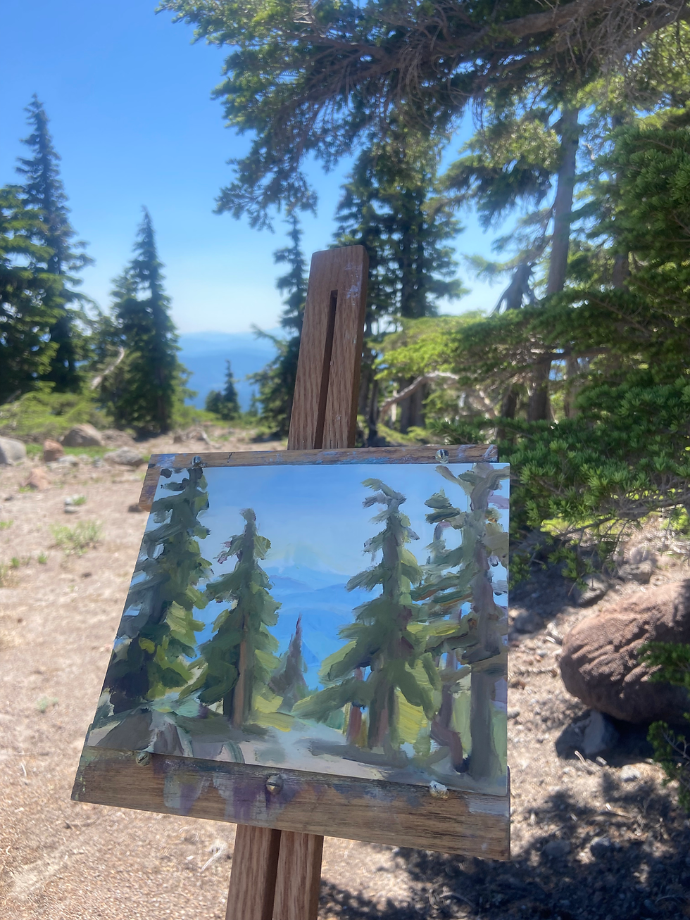 California Landscape Art | Sarah Sedgwick Anderson | wall art