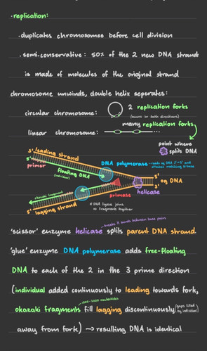 Biology Notes (Units 3 and 4 QCE) | Dr. Tutor 🎓