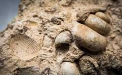 Geology 101 - Fun with Rocks | WimberleyCCC