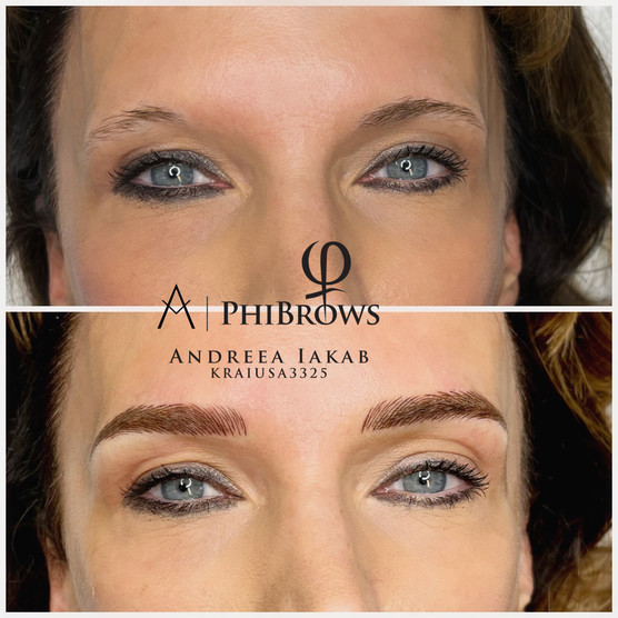 Eyebrows Microblading | United States | Elitemicrobladinmi.com