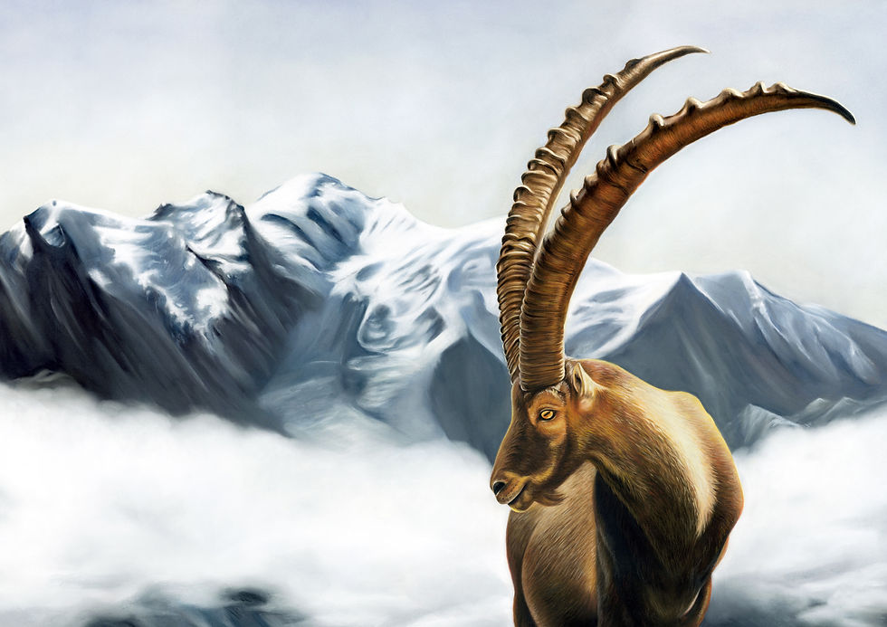 Jake Coates Art at Karen Watts blog