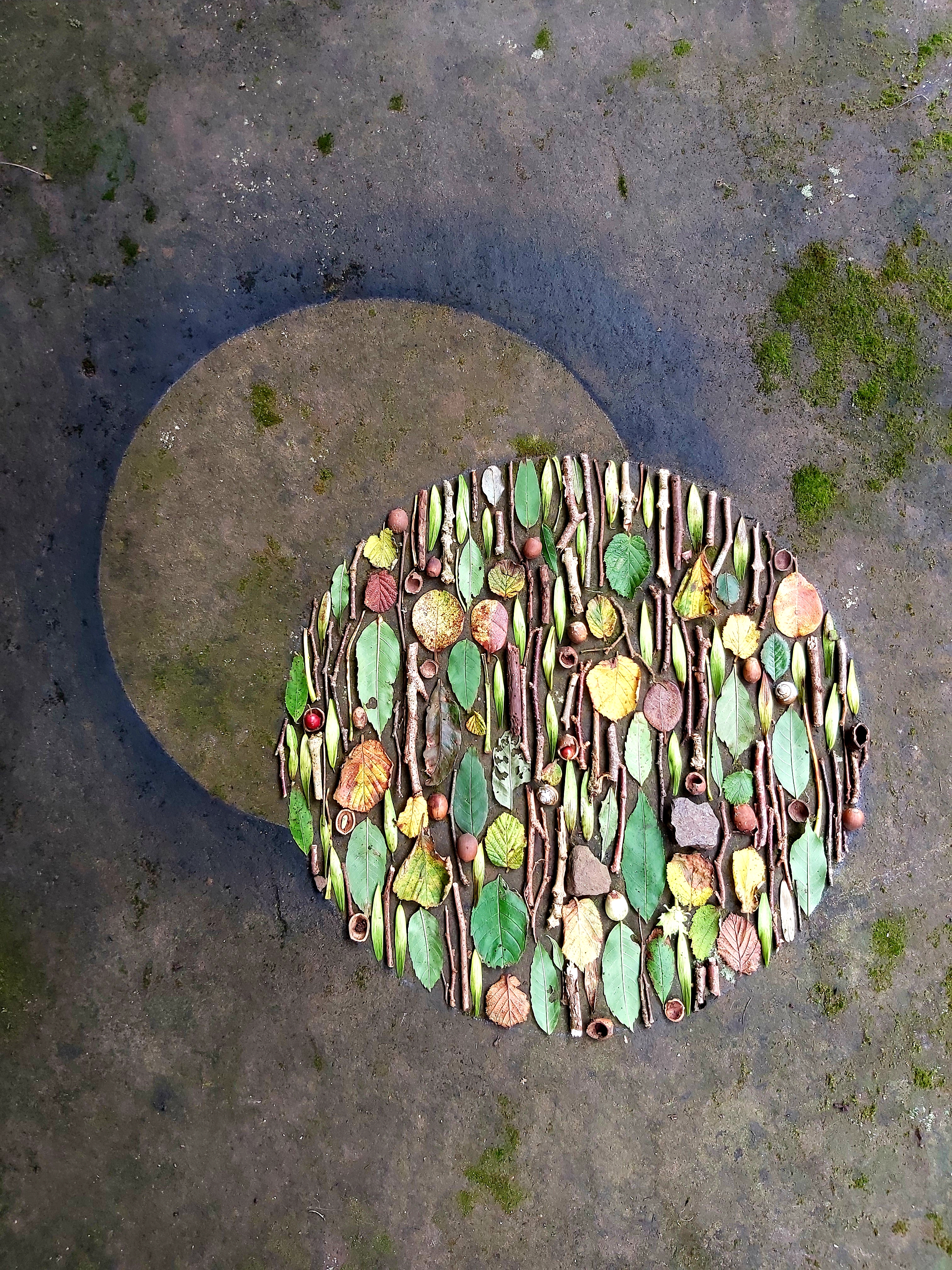 Gallery of recent work 2