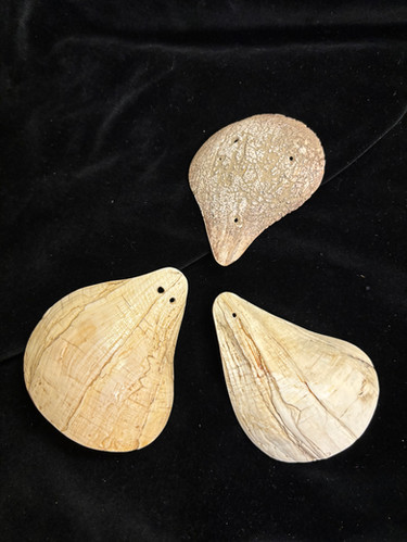 3 Native American Shell Gorgets | America’s Artifacts