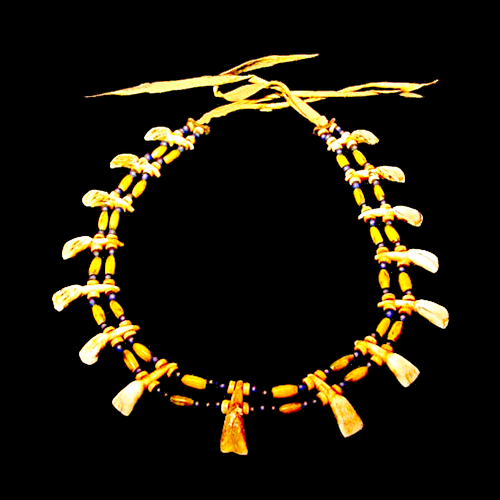 Buffalo Tooth Necklace | America’s Artifacts