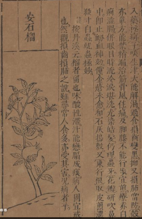 Reading Poetry Along the Silk Roads