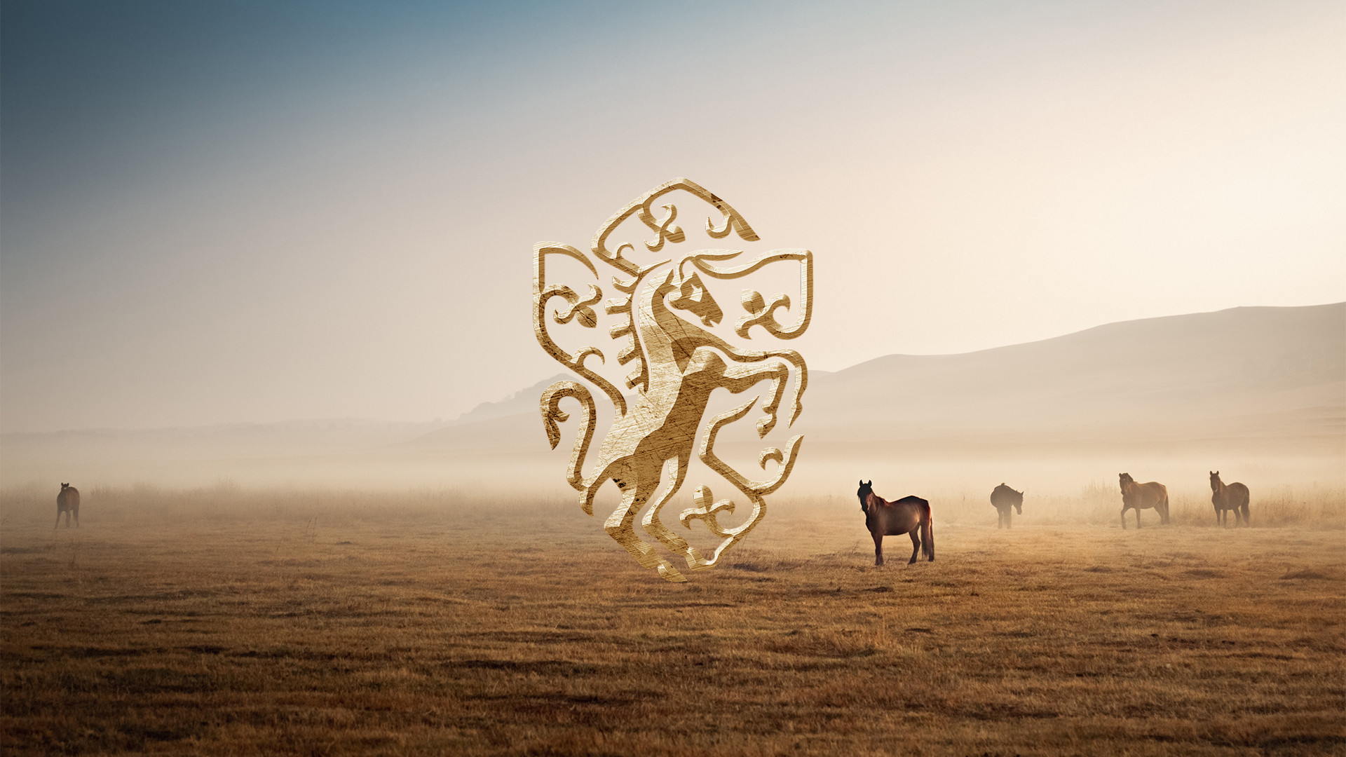 STALLION CLUB | Designed by ONEDESIGN | Bhubaneswar, India