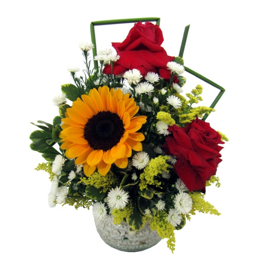 Arranjo 2 Rosas e Girassol | Maison Garden