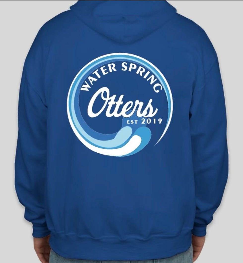 Your Water Spring PTO | Water Spring Elementary PTO | Winter Garden, FL