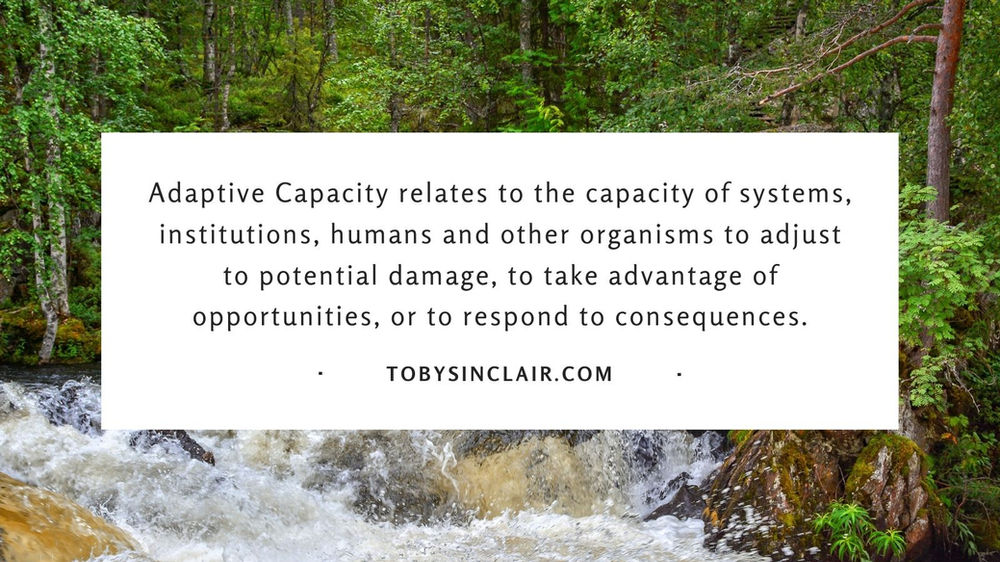 What is Adaptive Capacity? A short guide and description