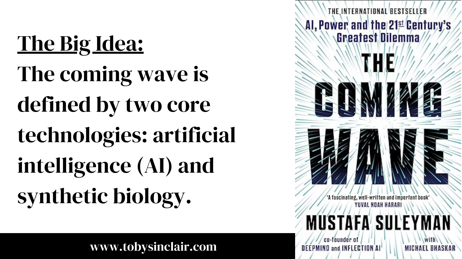 Summary: The Coming Wave by Mustafa Suleyman, Michael Bhaskar