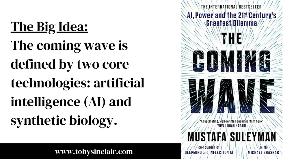 Summary: The Coming Wave by Mustafa Suleyman, Michael Bhaskar