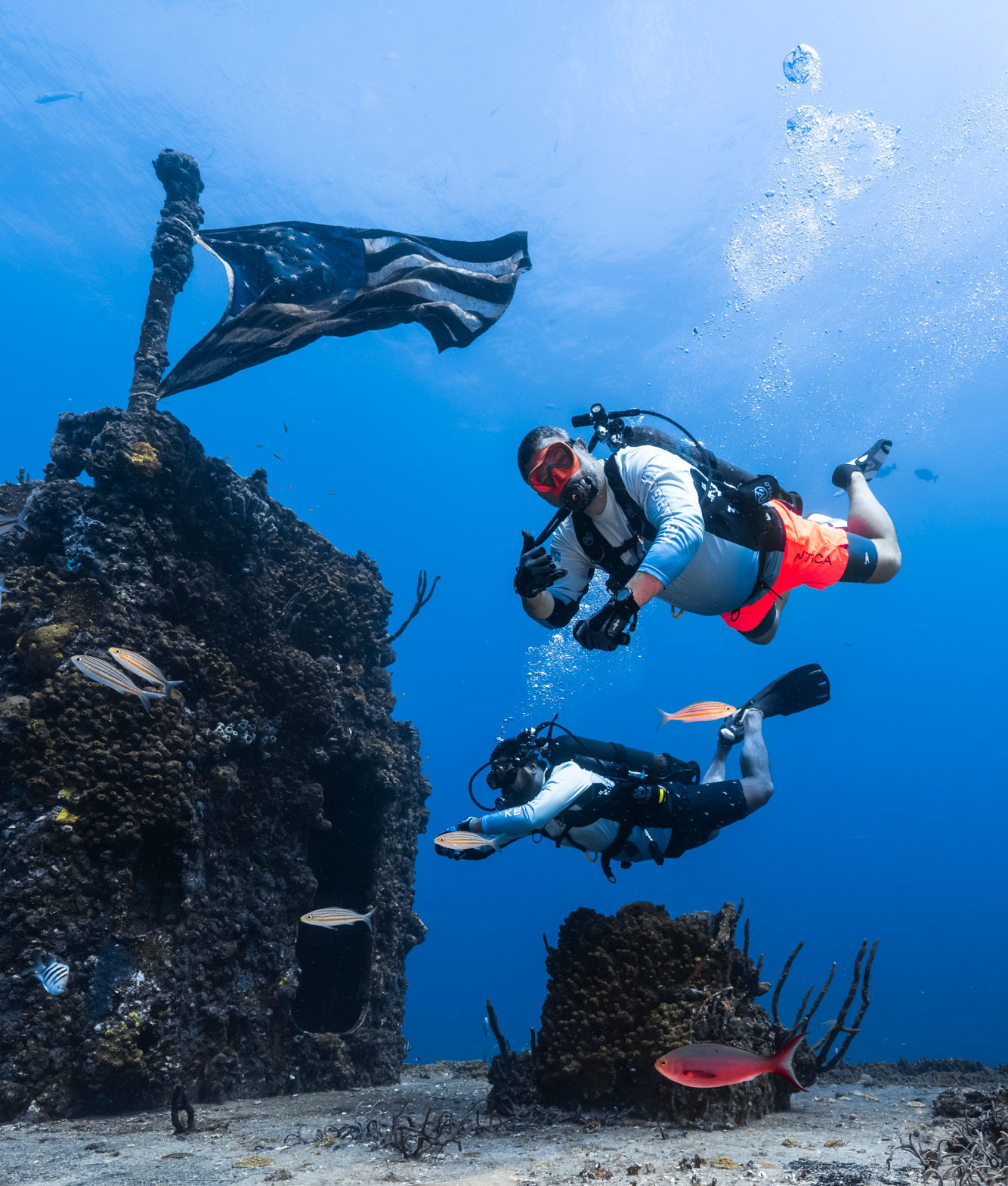 Recreational Avelo Diver | Best SCUBA, LLC