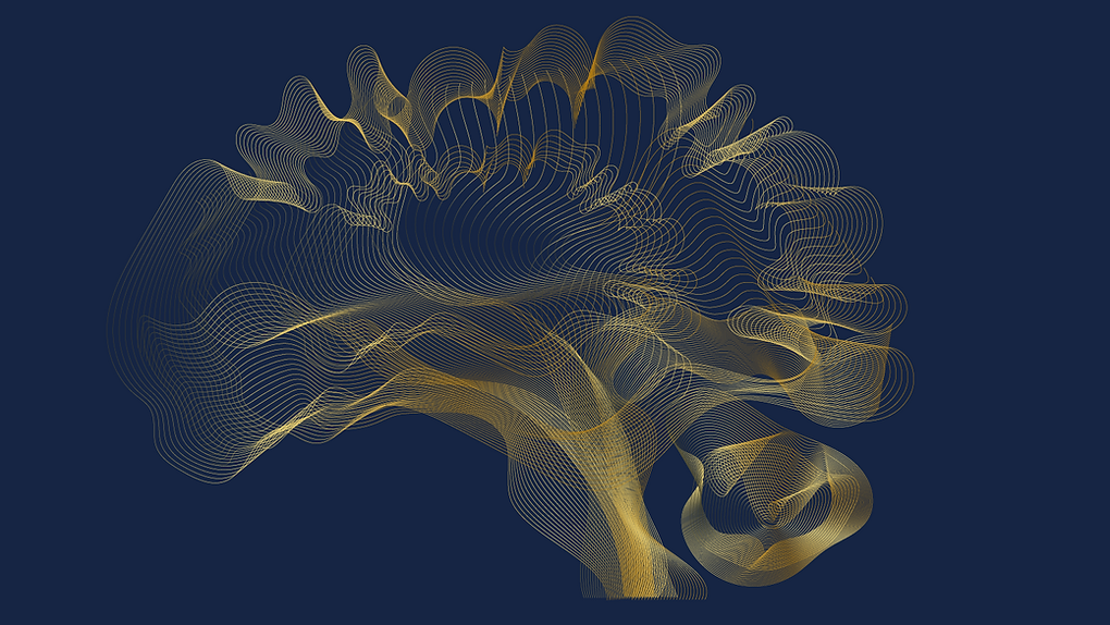 ME/CFS HILFE | Prof. Stark Fatigue Zentrum