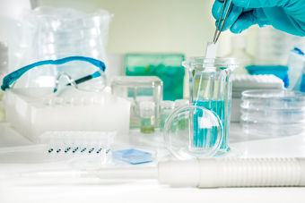 Fite's Stain, Bacteria, KT013