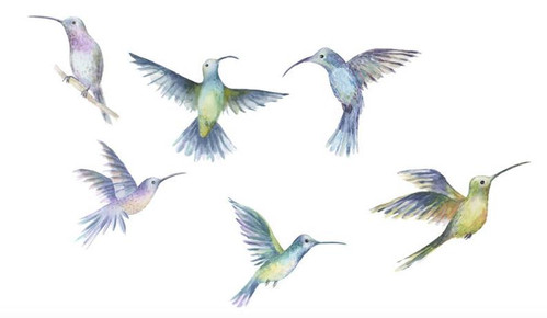 Decals/Stickers Watercolour Hummingbirds - Set of 6 | Positively Printed