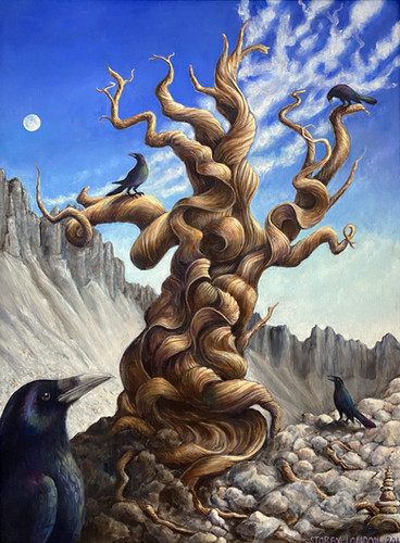 ANCIENT RAVEN TREE | LINDA STOREY-LONDON