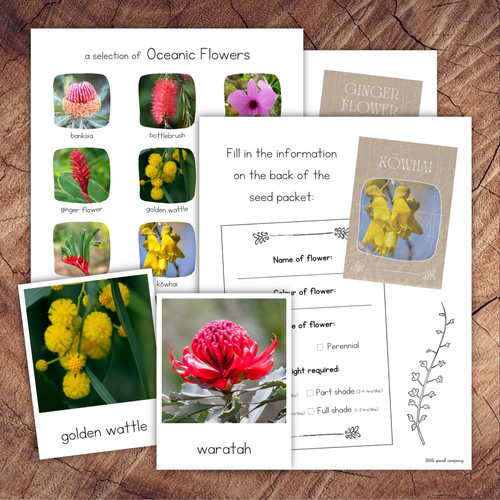Oceania Flowers Pack | Little Spark Company