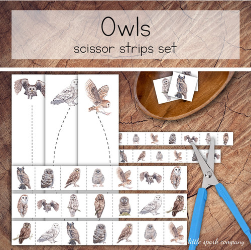 Owls Scissor Strips Set | Little Spark Company