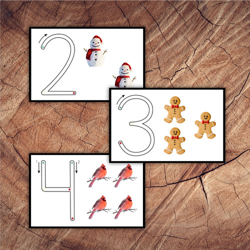 Winter Number Primer Cards | Little Spark Company