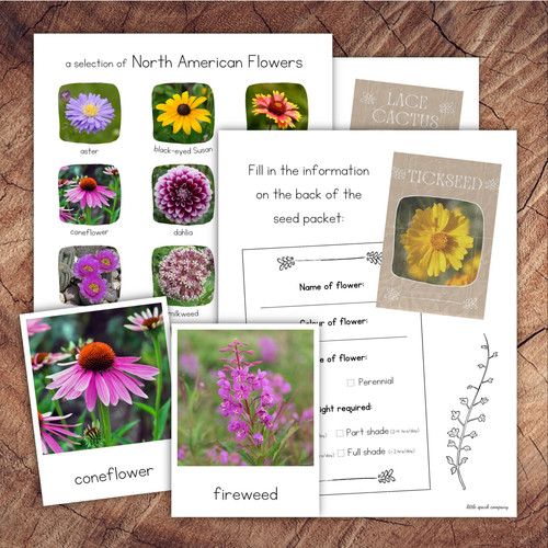 North American Flowers Pack | Little Spark Company