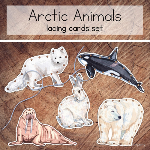 Arctic Animals Lacing Card Set | Little Spark Company