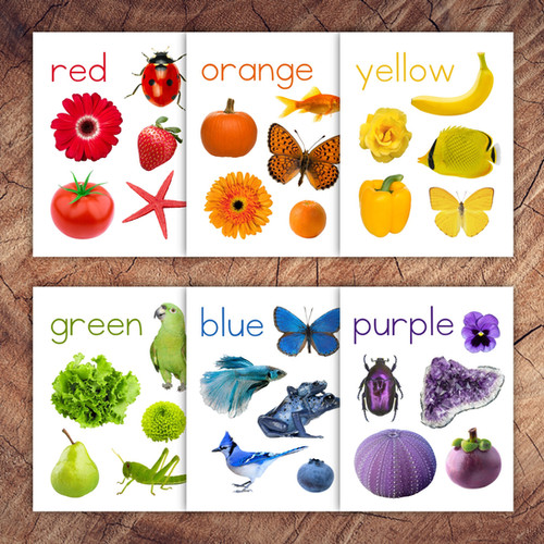 Colour Poster Set, Real Images | Little Spark Company