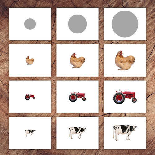 Farm Size Sorting Cards | Little Spark Company