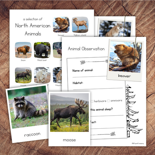 North American Animals Pack | Little Spark Company