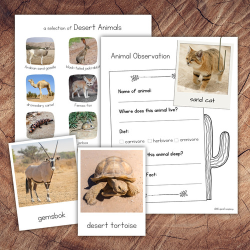 Desert Animals Pack | Little Spark Company