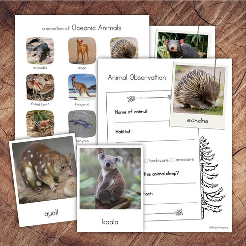 Oceania Animals Pack | Little Spark Company