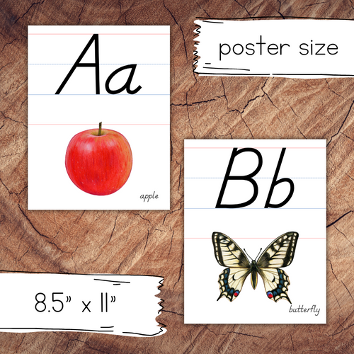 D'Nealian-Style Alphabet Poster Set, Lined | Little Spark Company