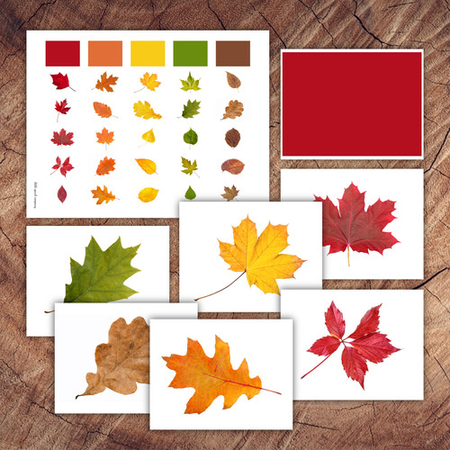 Autumn Leaves Colour Sorting Set | Little Spark Company