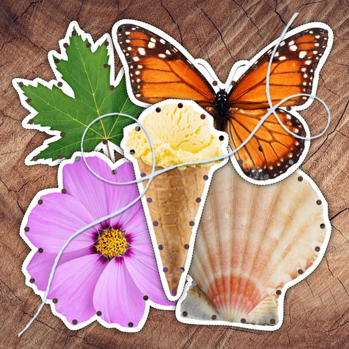 Summer Lacing Cards, Real Images | Little Spark Company