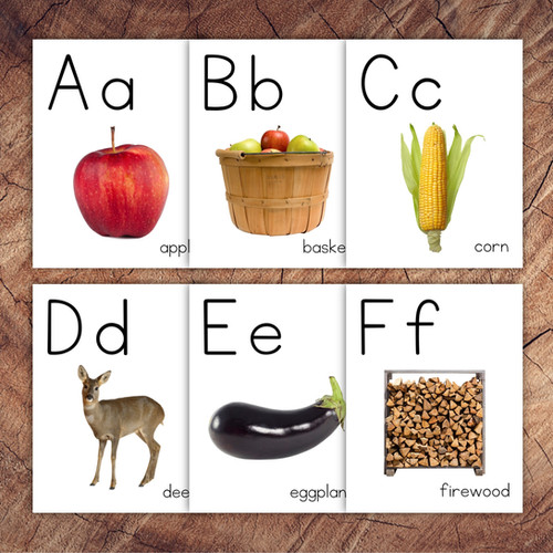 Autumn Alphabet Poster Set, Real Images | Little Spark Company