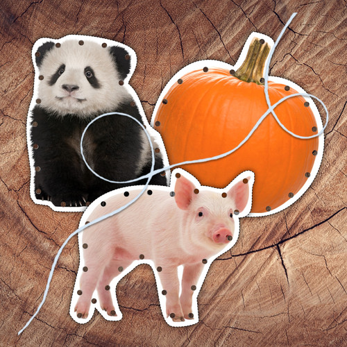 Letter Pp Lacing Cards | Little Spark Company