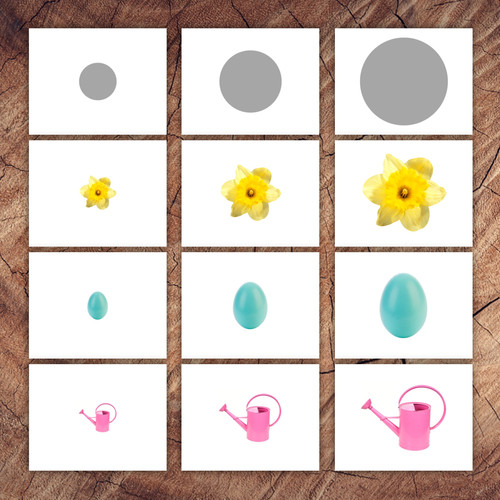 Spring Size Sorting Cards | Little Spark Company