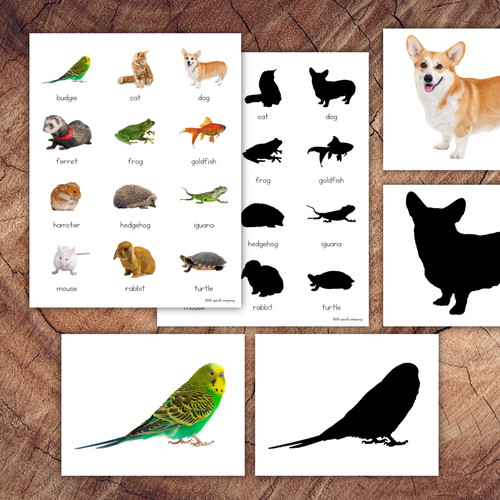 Pets Shadow Matching Cards | Little Spark Company