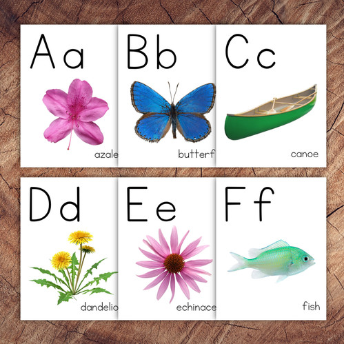 Summer Alphabet Poster Set, Real Images | Little Spark Company