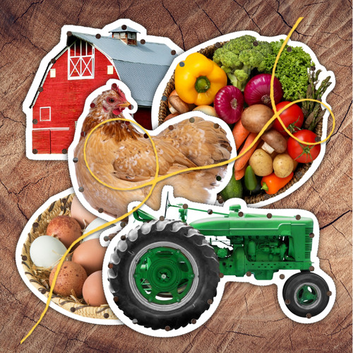 Farm Lacing Cards, Real Images | Little Spark Company