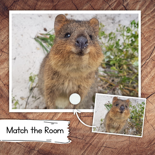 Match the Room Qq is for Quokka | Little Spark Company