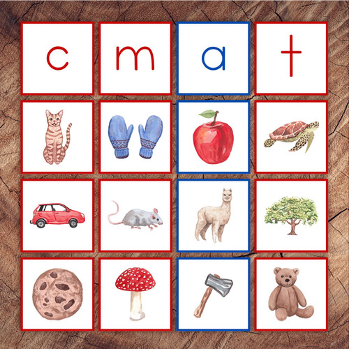 Beginning Letter Sounds Picture Sorting Card Set, Red Consonants Blue ...