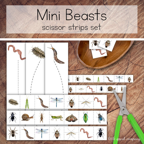 Mini Beasts Scissor Strips Set | Little Spark Company